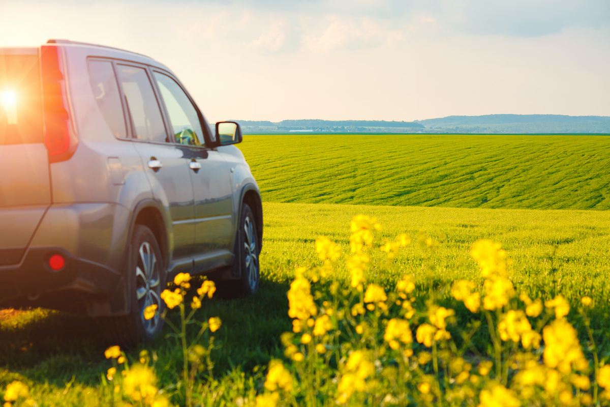 Spring Cleaning Car Tips - DG Collision Center